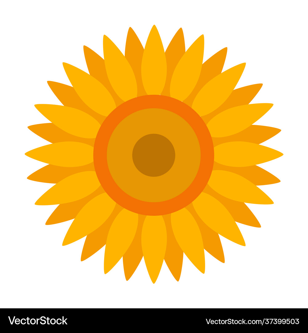 Sunflower iconcartoon icon isolated Royalty Free Vector