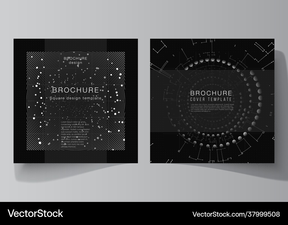 Layout two square covers design Royalty Free Vector Image