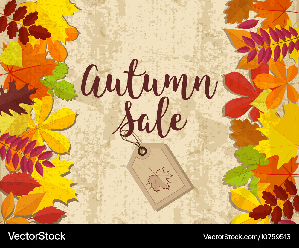 Autumn sale fall design can be used Royalty Free Vector