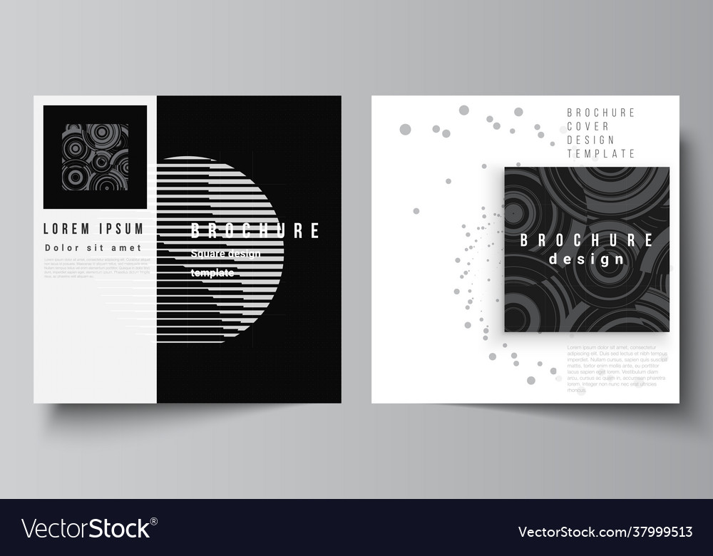 Layout two square covers templates Royalty Free Vector Image