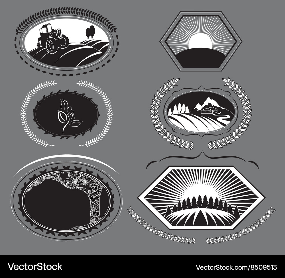 Set of farm labels Royalty Free Vector Image - VectorStock