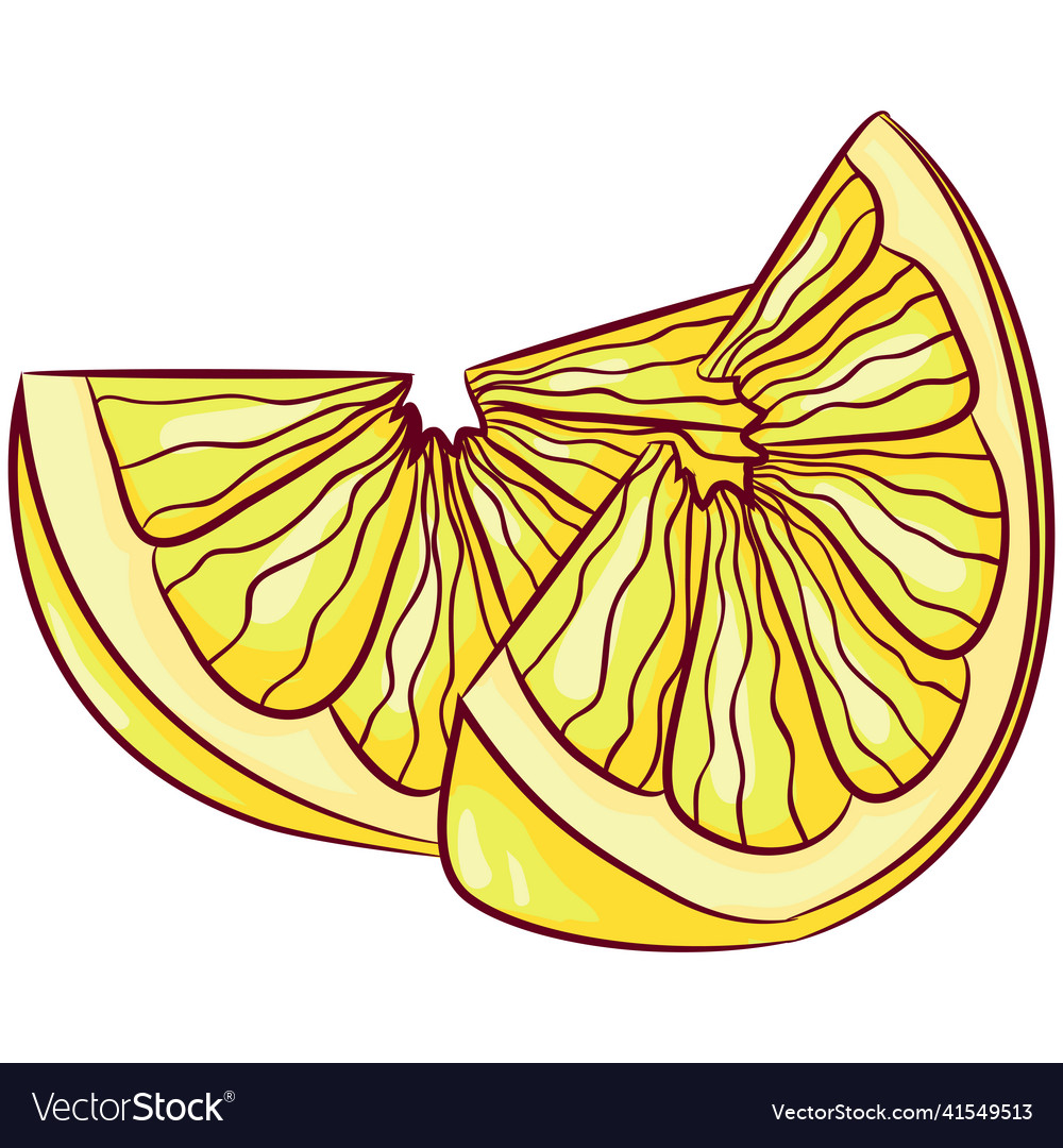 Two lemon wedges Royalty Free Vector Image - VectorStock
