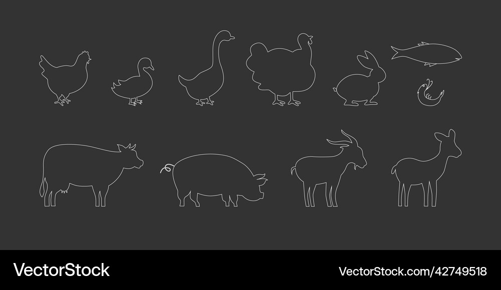 Meat symbols set for product packaging label Vector Image