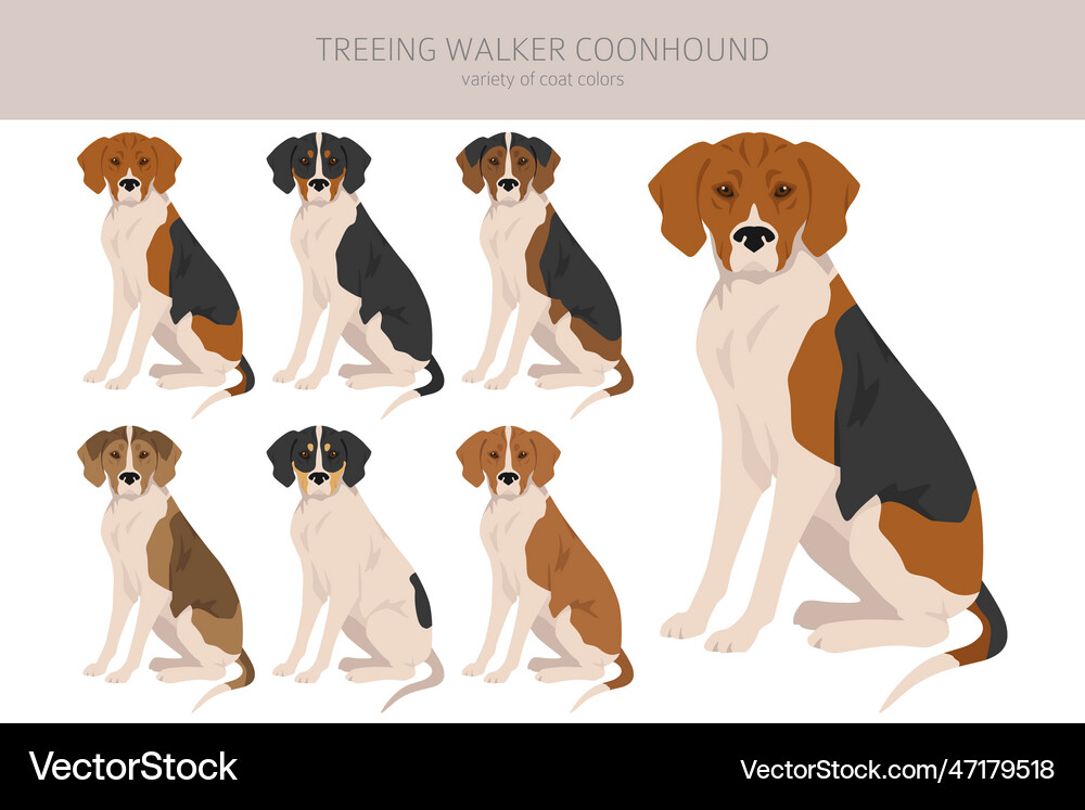 Treeing walker coonhound clipart different poses Vector Image
