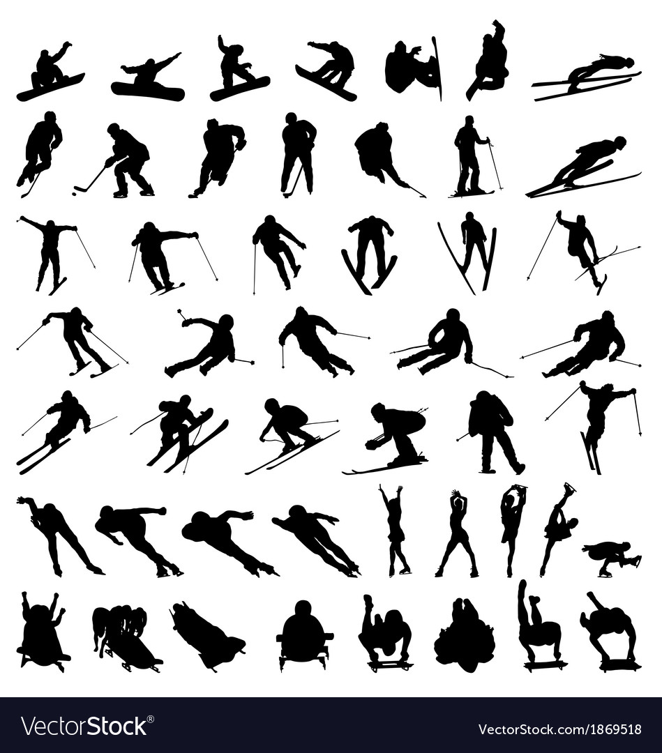 Winter sport Royalty Free Vector Image - VectorStock