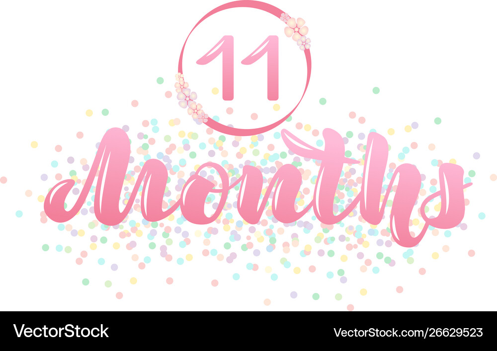 Baby age marker - 11 months Royalty Free Vector Image