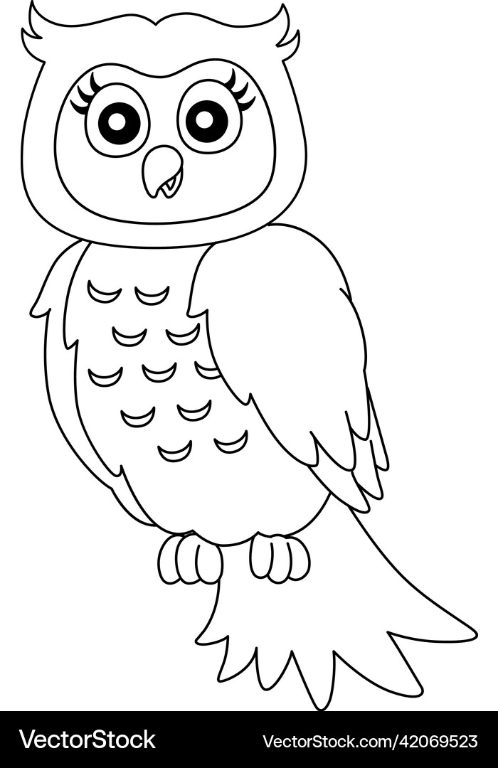 Owl on a tree branch coloring page isolated Vector Image
