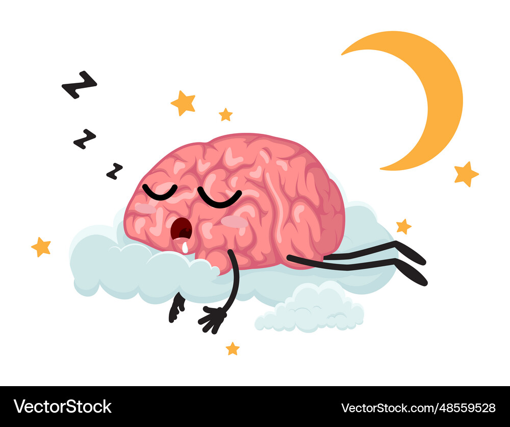 Cute sleeping brain cartoon isolated on white Vector Image