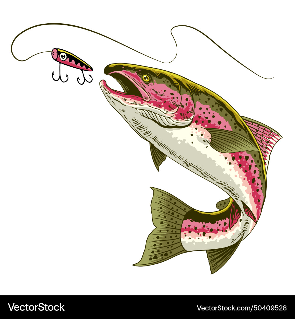 Rainbow trout fish jumping out water isolated Vector Image