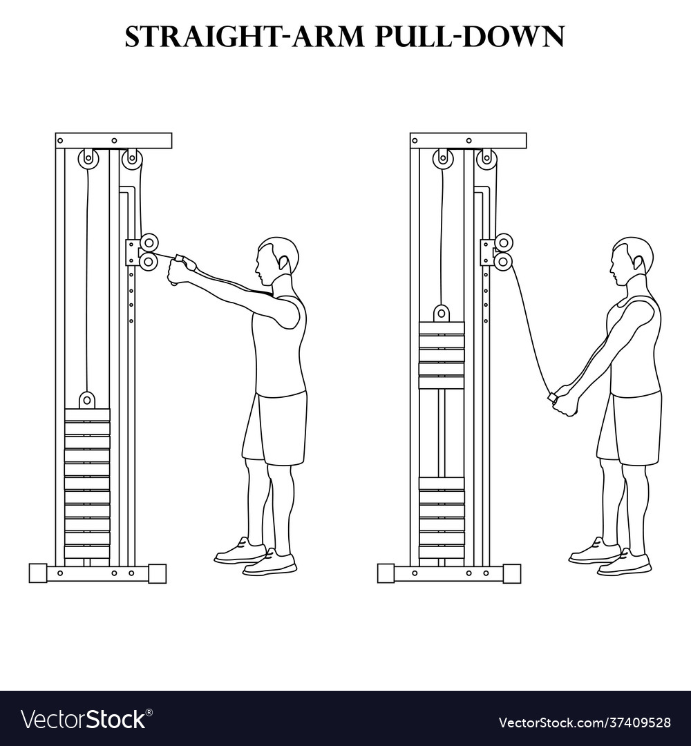 Straight-arm pull-down exercise strength workout Vector Image