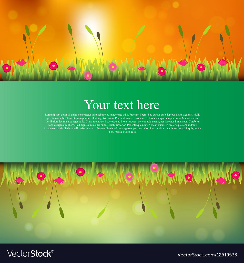 Banner with grass and flowers Royalty Free Vector Image