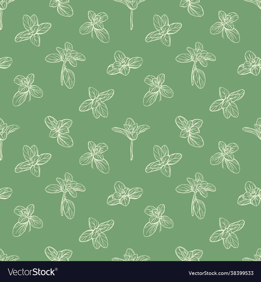Basil seamless patternhand-drawn Royalty Free Vector Image