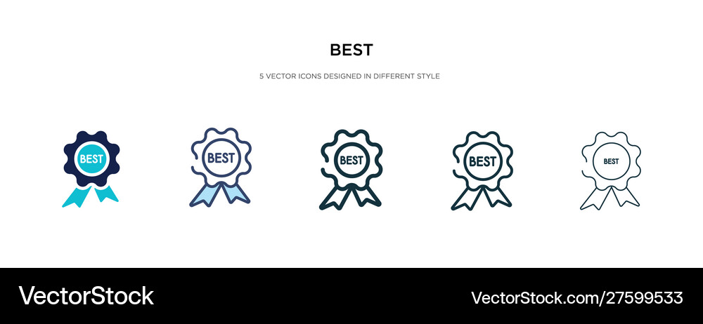 Best icon in different style two colored Vector Image