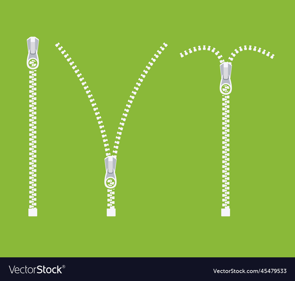 Open zipper teeth metal fastener isolated Vector Image