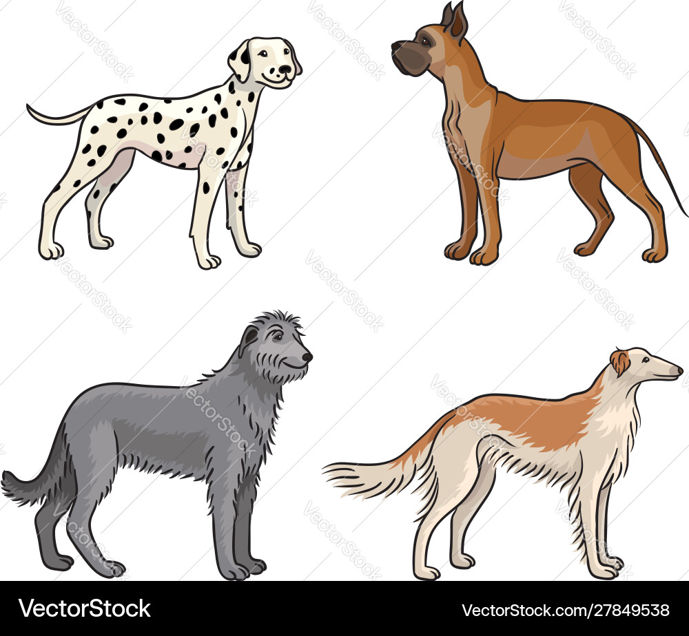 Dogs different breeds in color set3 Royalty Free Vector