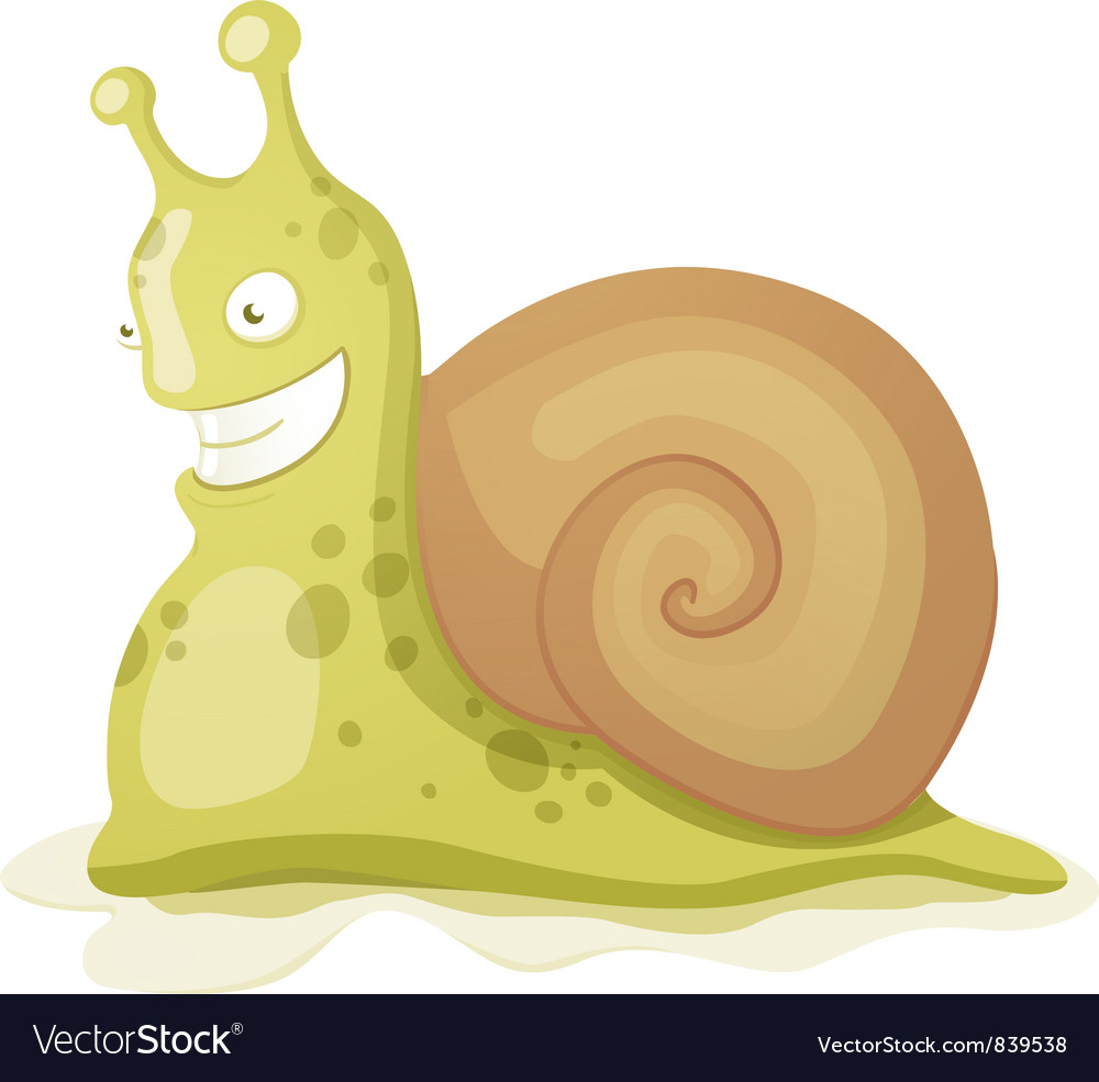 Snail Royalty Free Vector Image - VectorStock