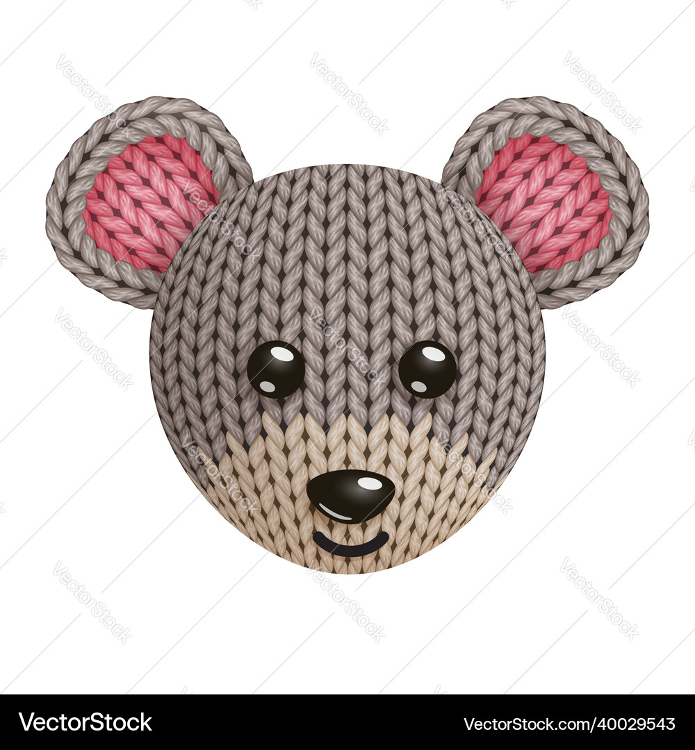A funny knitted mouse toy head on white background