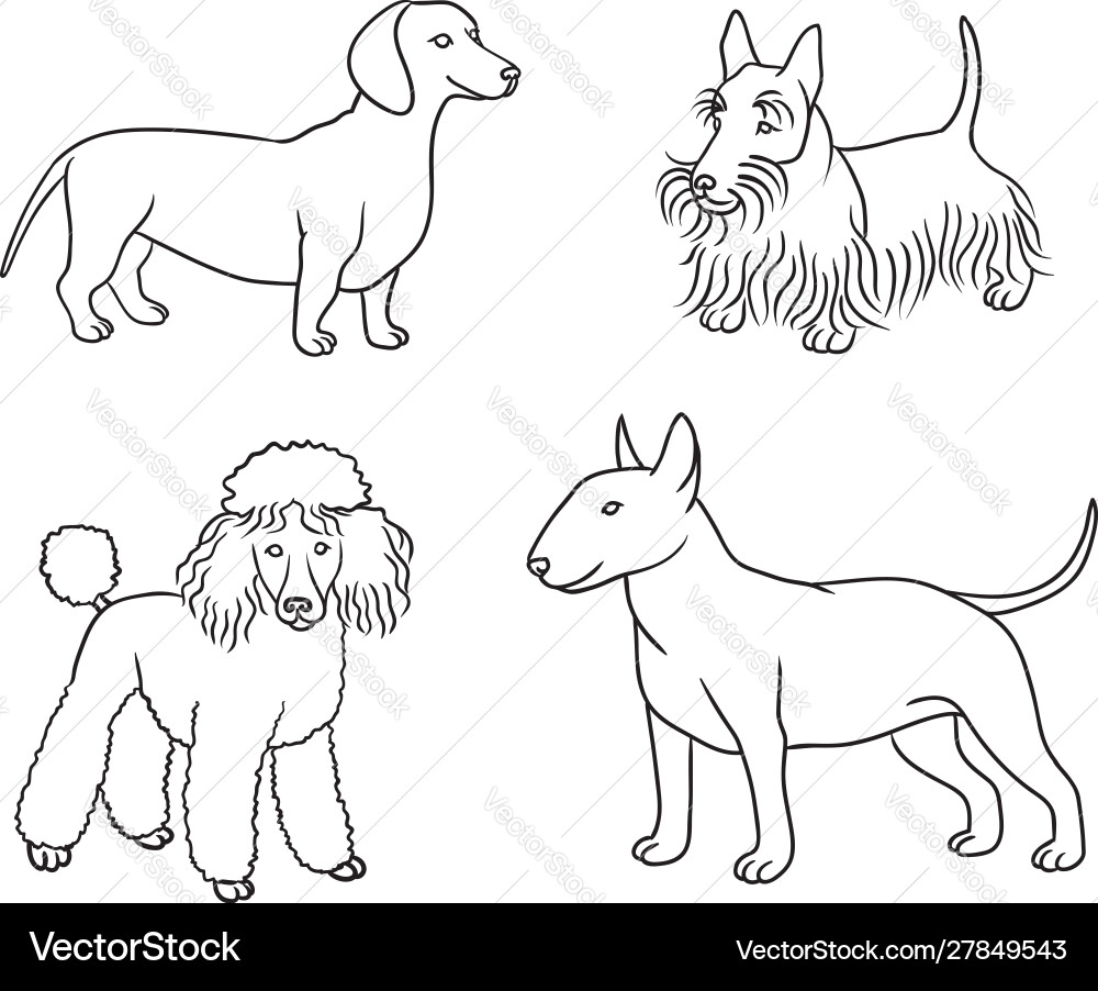 Dogs different breeds in outlines set5 Royalty Free Vector