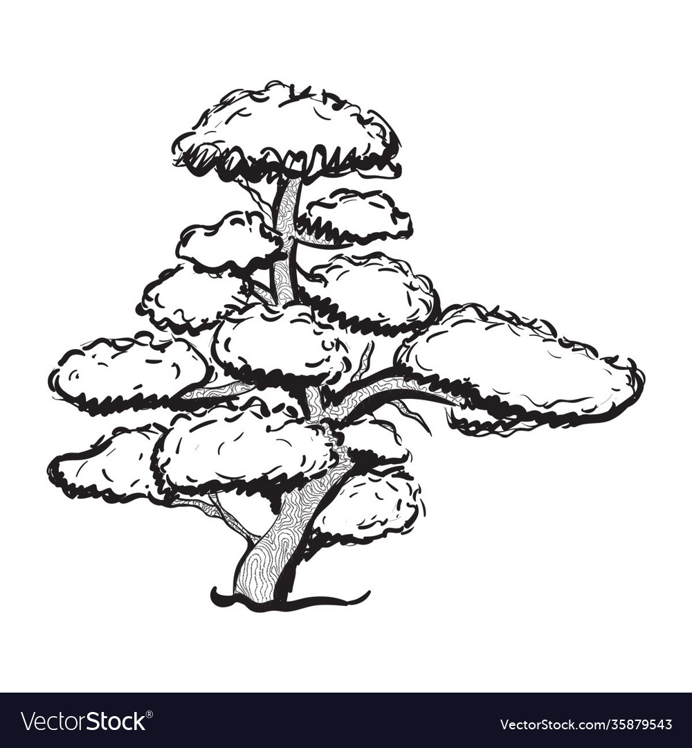 Wild tree Royalty Free Vector Image - VectorStock