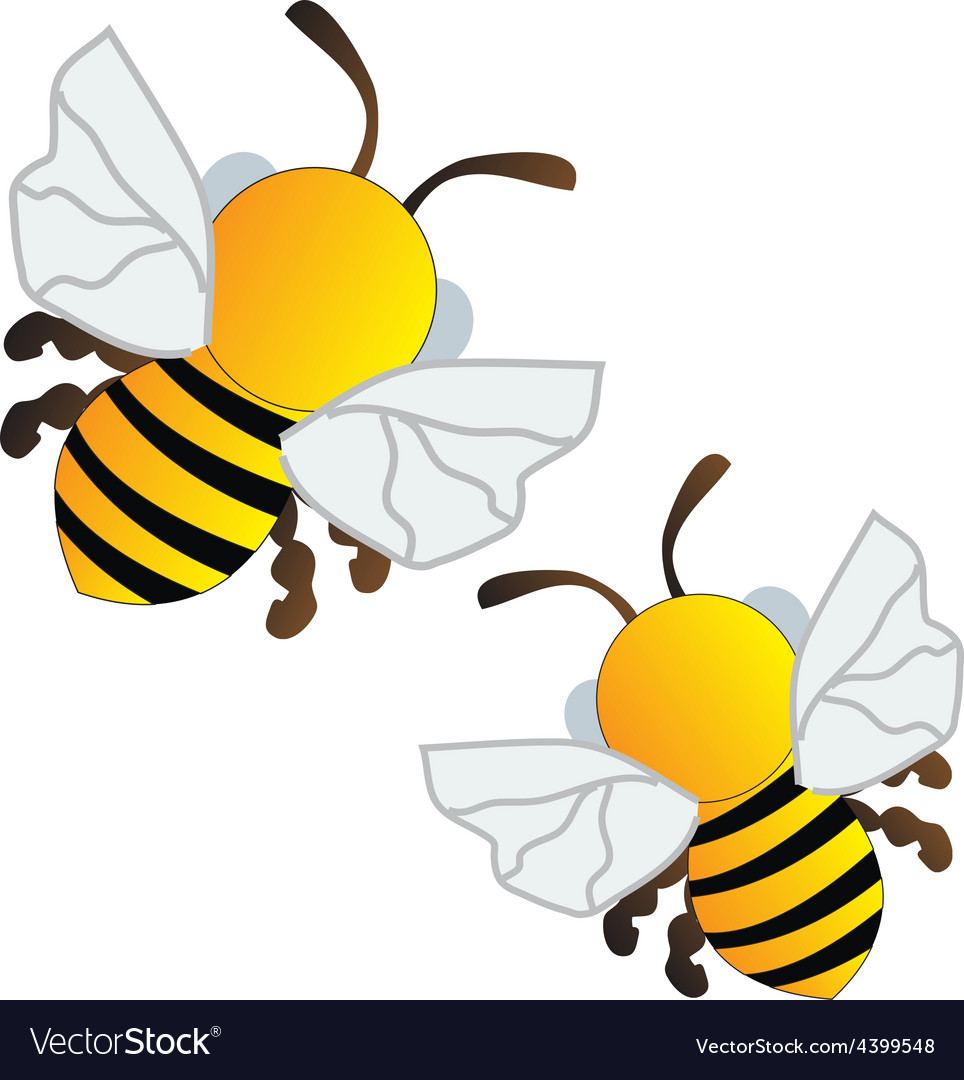 Flying bees Royalty Free Vector Image - VectorStock