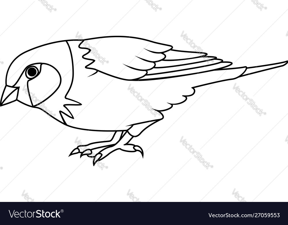 Coloring book sparrow Royalty Free Vector Image
