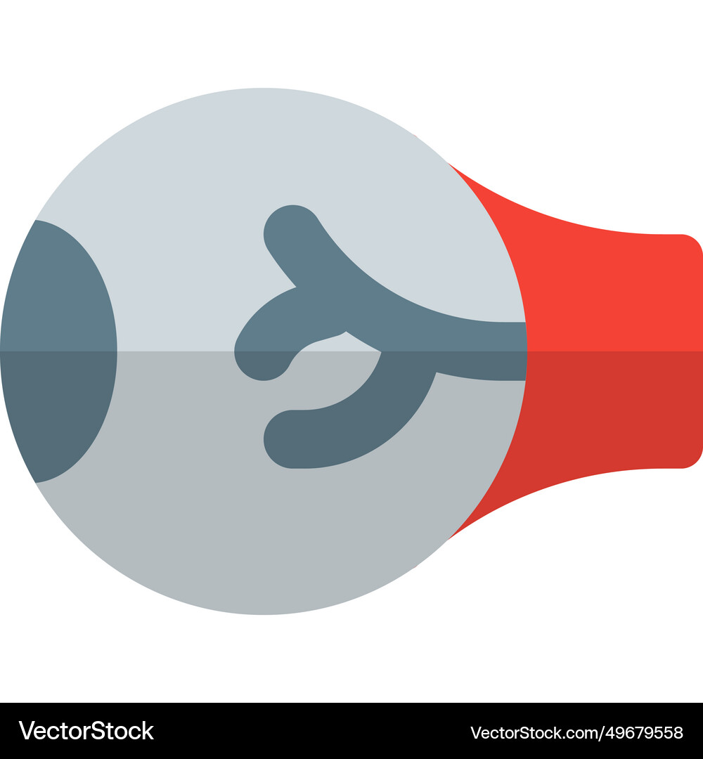 Eyeball is a bilateral and spherical organ Vector Image