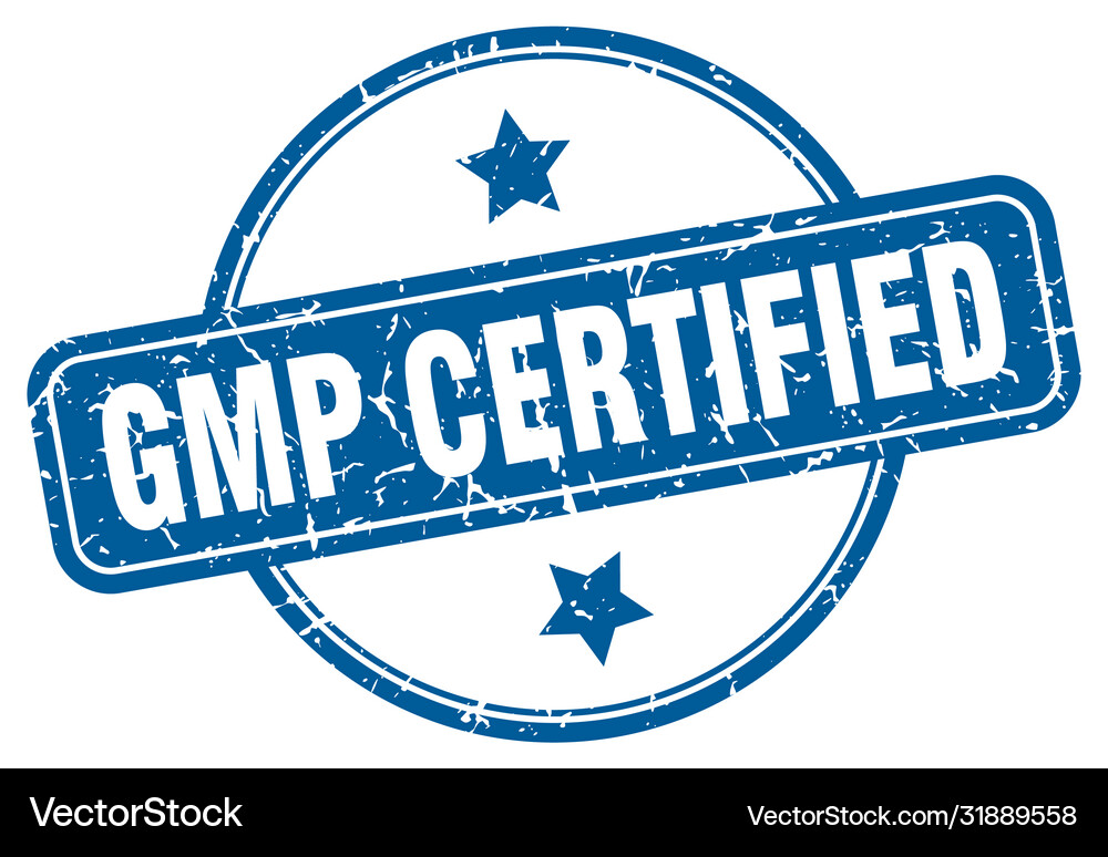 Gmp certified grunge stamp round Royalty Free Vector Image