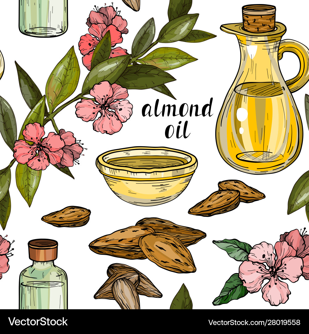 Seamless pattern with almond nuts branch and oil Vector Image