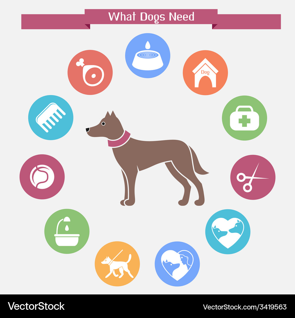Cute Dog Icon Set & Infographic Elements Vector Image
