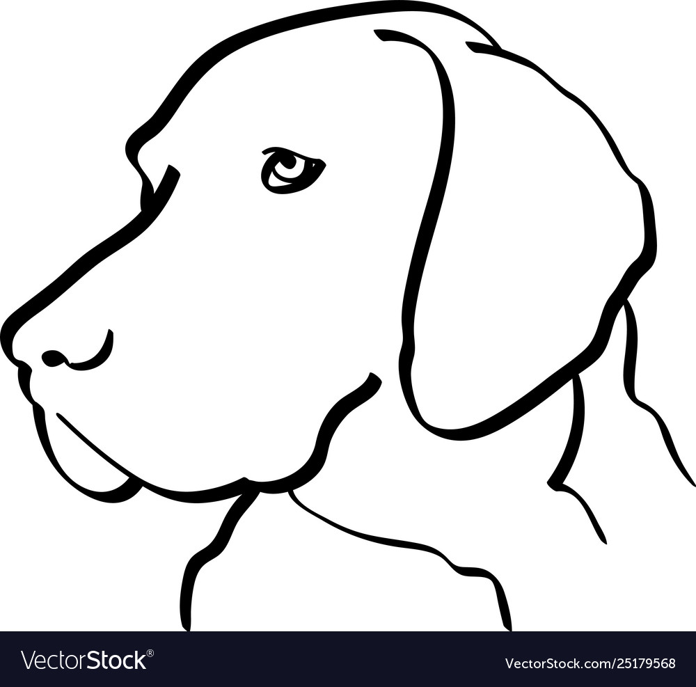 Pointer dog Royalty Free Vector Image - VectorStock