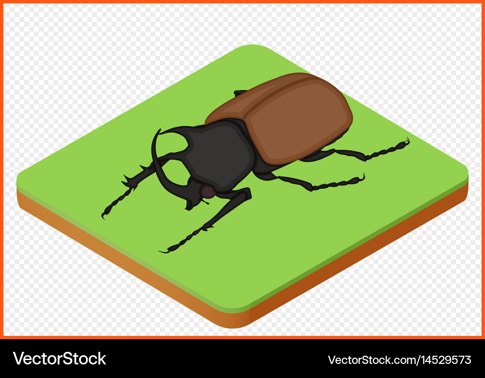 Beetle eps Royalty Free Vector Image - VectorStock