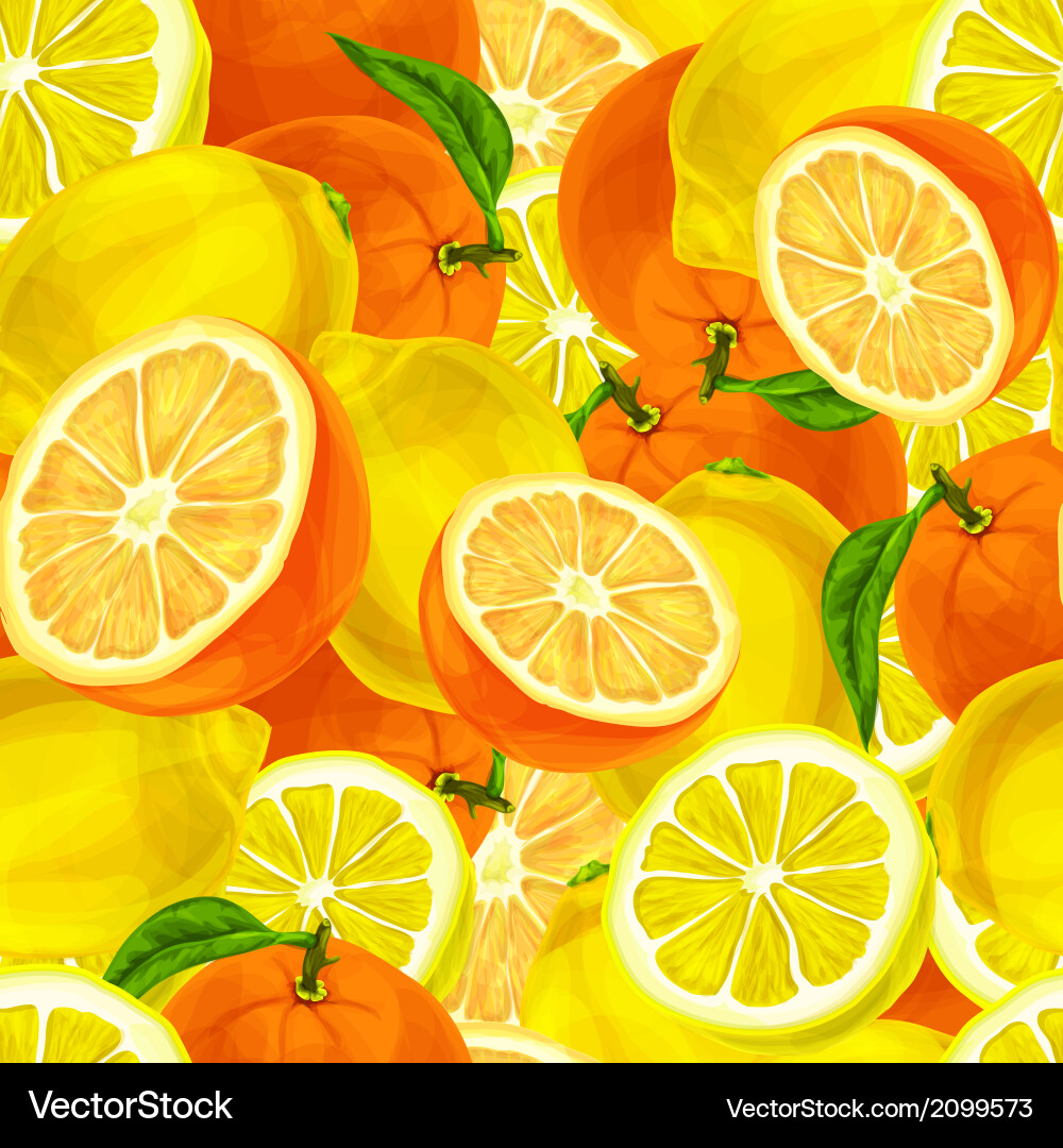 Citrus fruits seamless background Royalty Free Vector Image