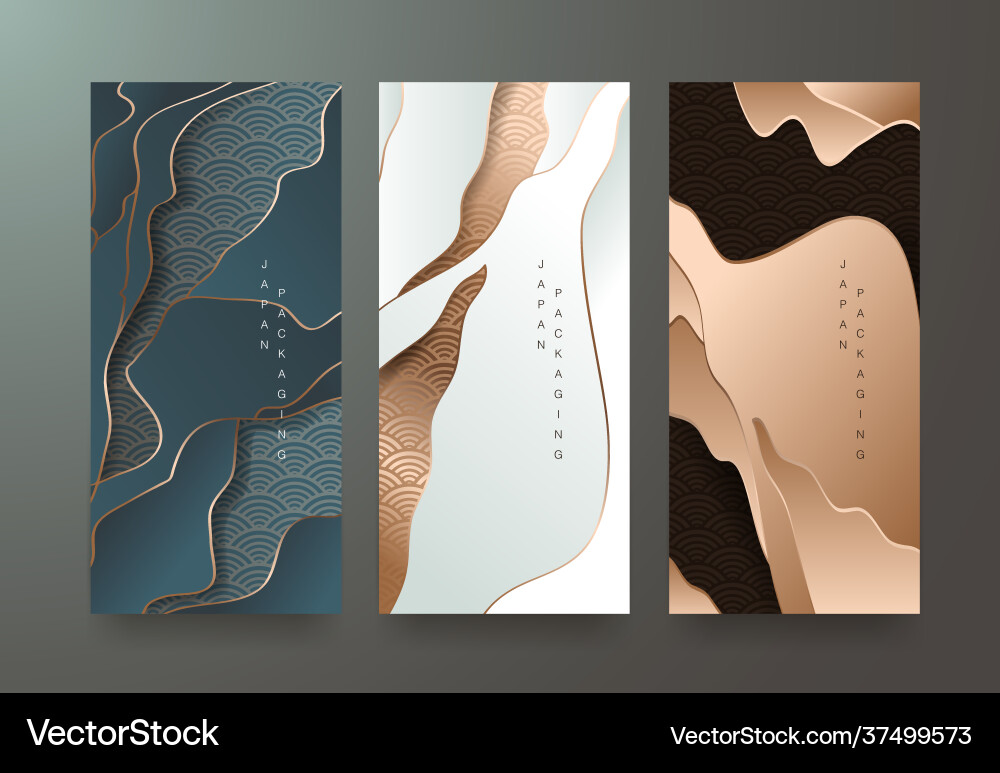 Packaging templates japanese luxury or premium Vector Image
