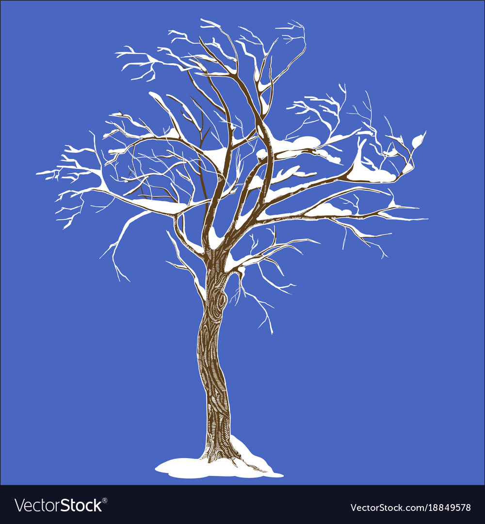 Basic rgb Royalty Free Vector Image - VectorStock