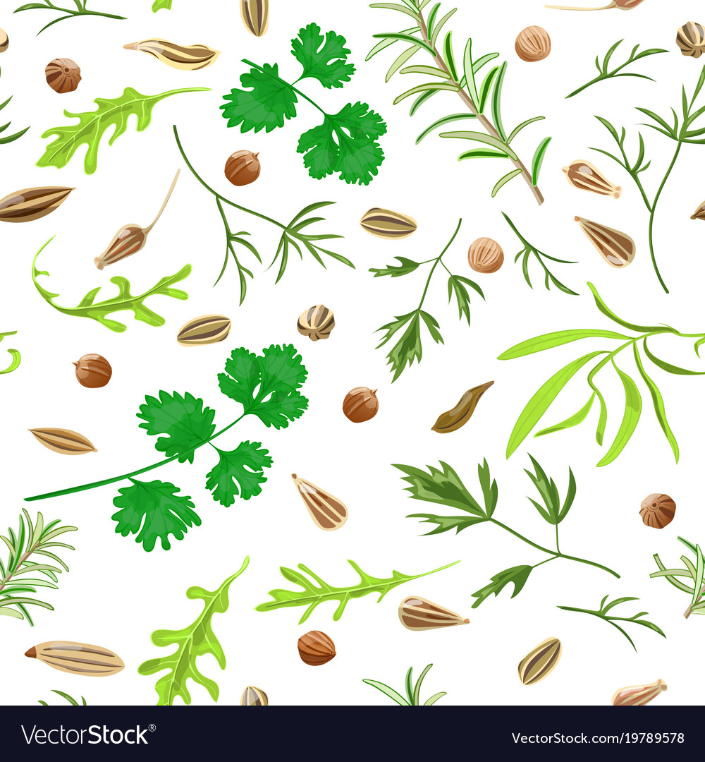 Seamless pattern herbs and spices Royalty Free Vector Image