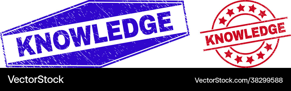 Knowledge unclean badges in circle and hexagon Vector Image