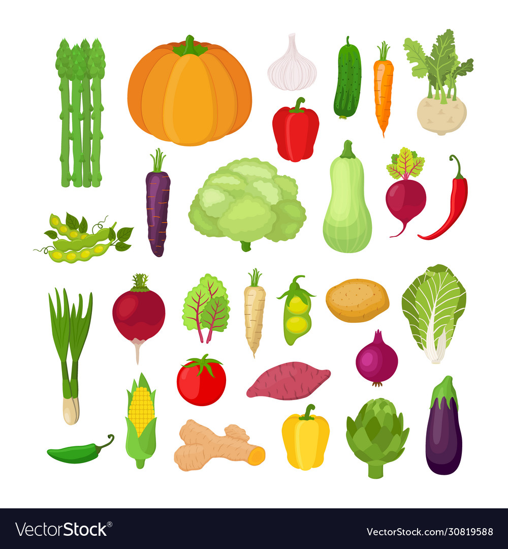 Vegetables set organic vegetables Royalty Free Vector Image