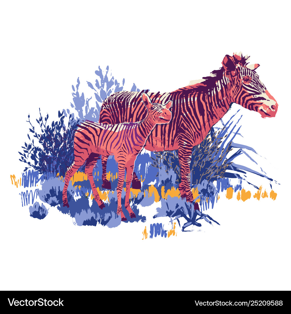 Zebra and cub standing in steppe landscape Vector Image