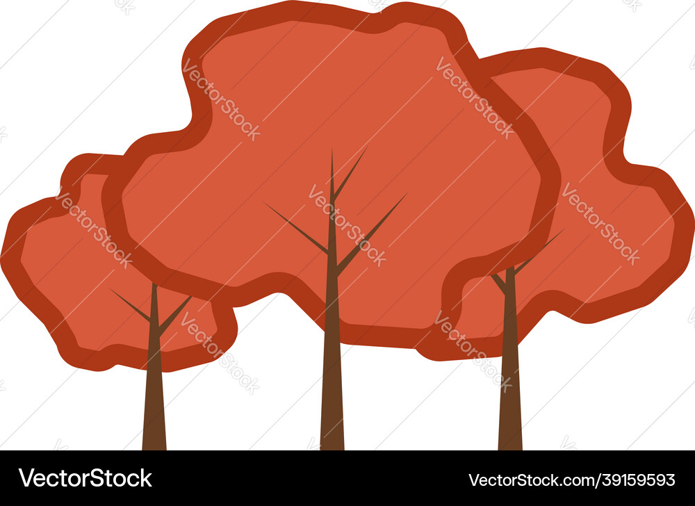Clove tree on a white background Royalty Free Vector Image