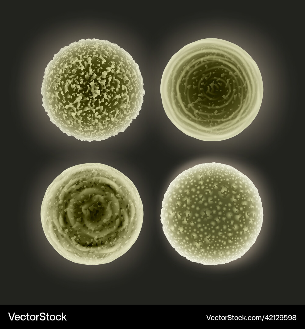 Set of cocci bacteria Royalty Free Vector Image
