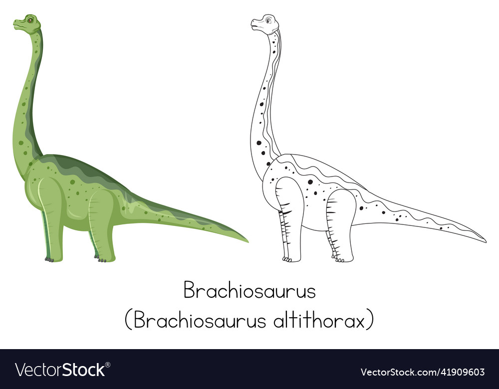 Dinosaur sketching of brachiosaurus Royalty Free Vector