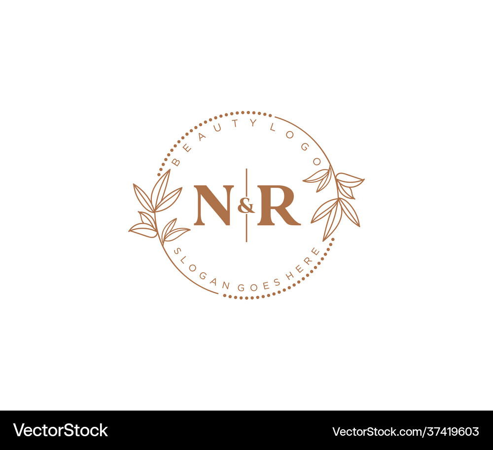 Initial nr letters beautiful floral feminine Vector Image
