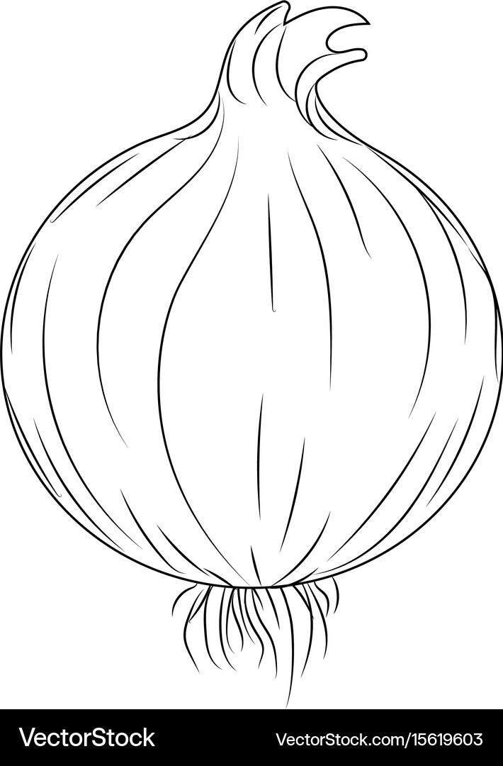 Line fresh onion natural vegetable nutrition Vector Image
