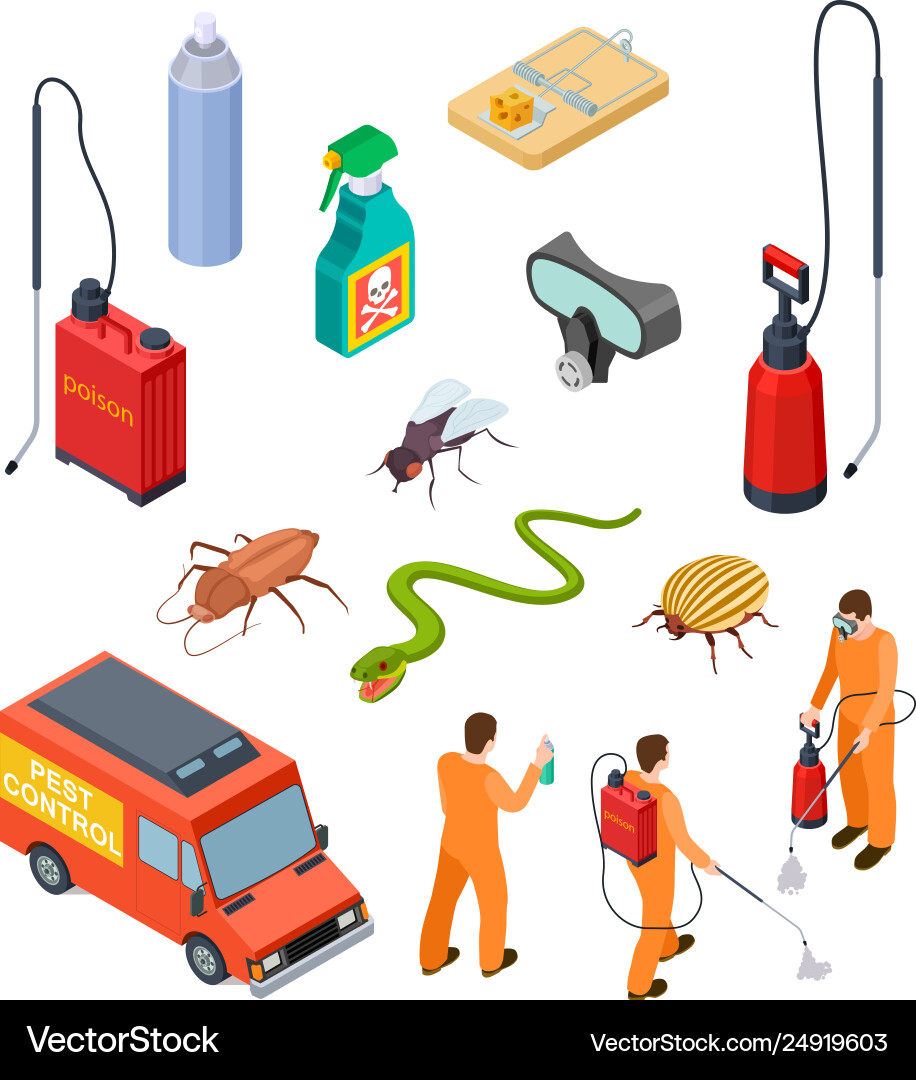 Pest control isometric insect fumigation rodent Vector Image