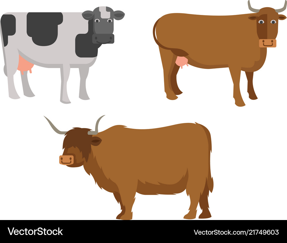 Set of 3 animal cattle Royalty Free Vector Image