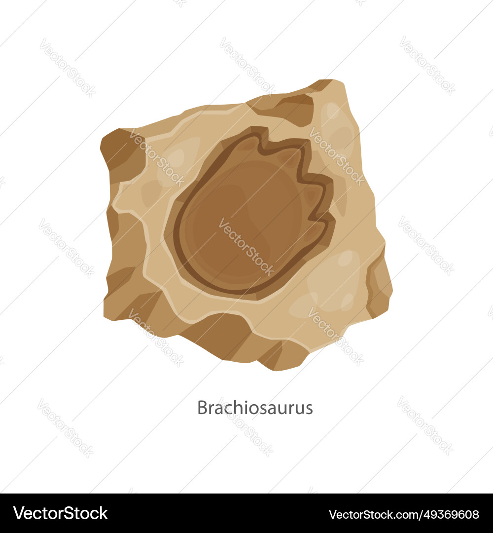 Ancient brachiosaurus dinosaur footprint fossil Vector Image