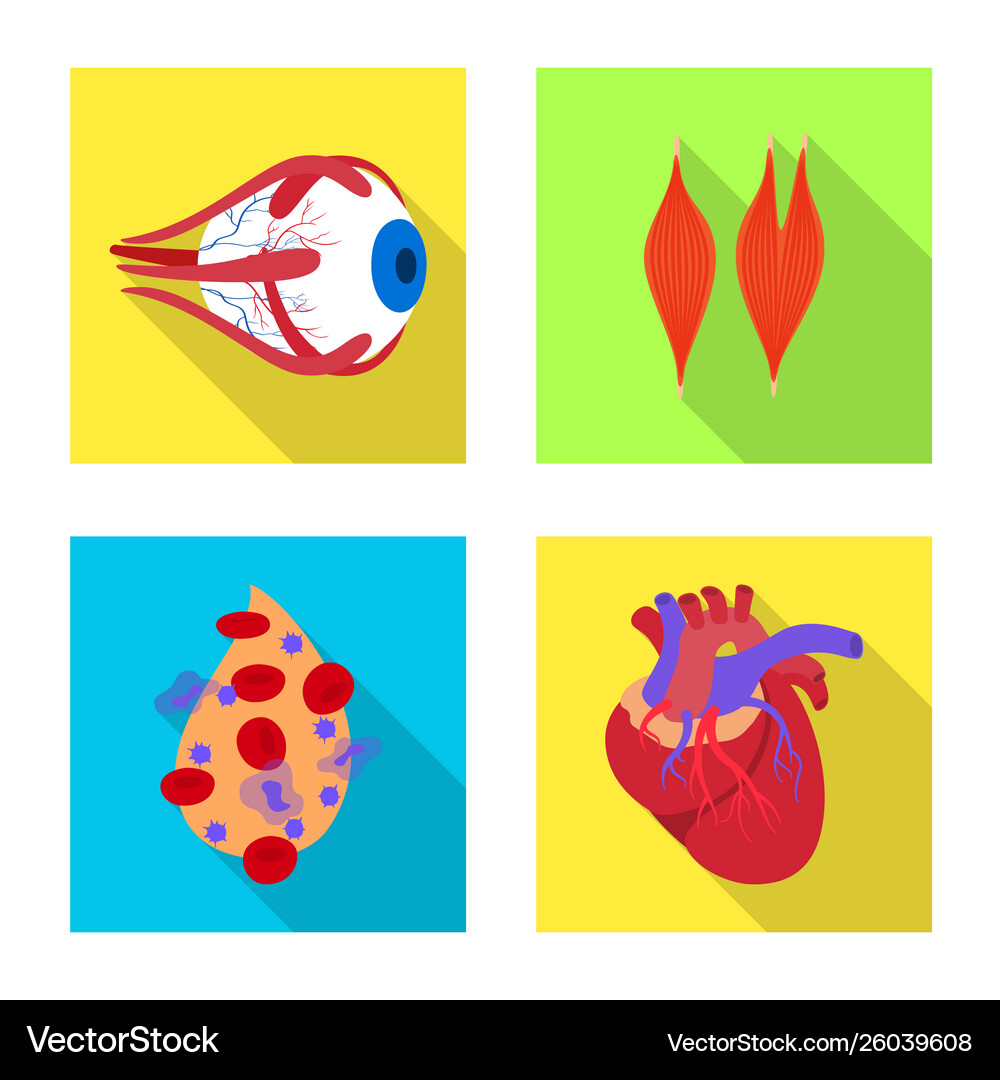 Human and health symbol Royalty Free Vector Image