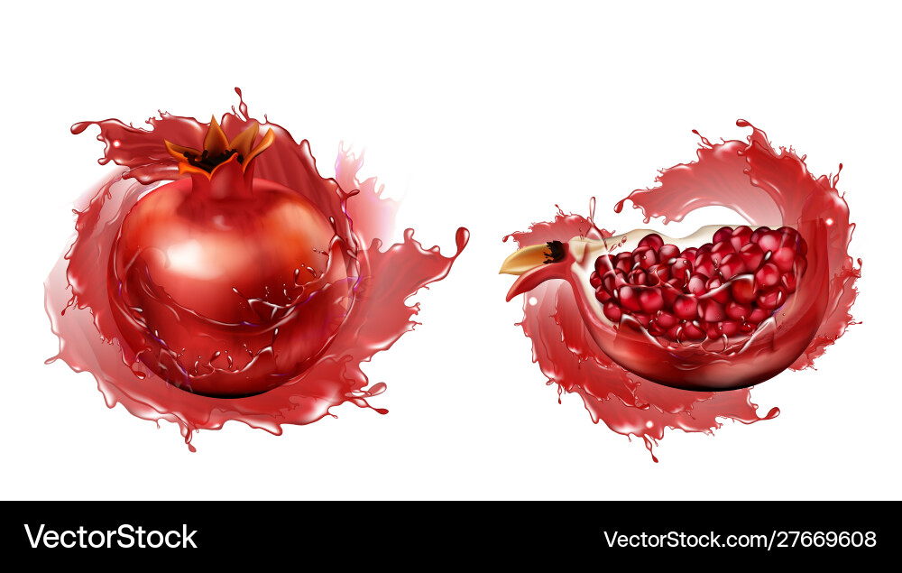 Pomegranate whole and slice with seeds isolated Vector Image