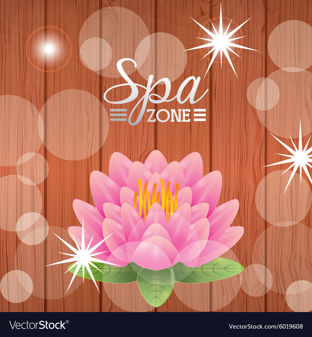 Spa zone Royalty Free Vector Image - VectorStock