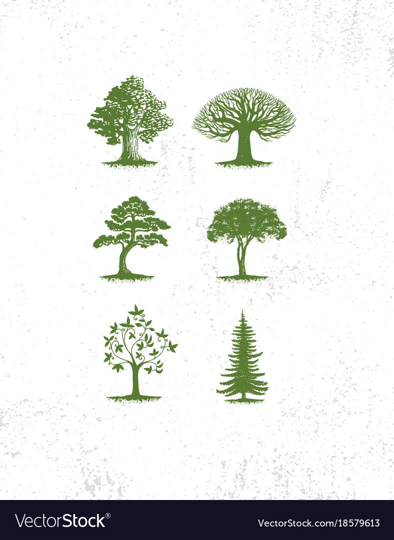 Big collection tree pine trees Royalty Free Vector Image